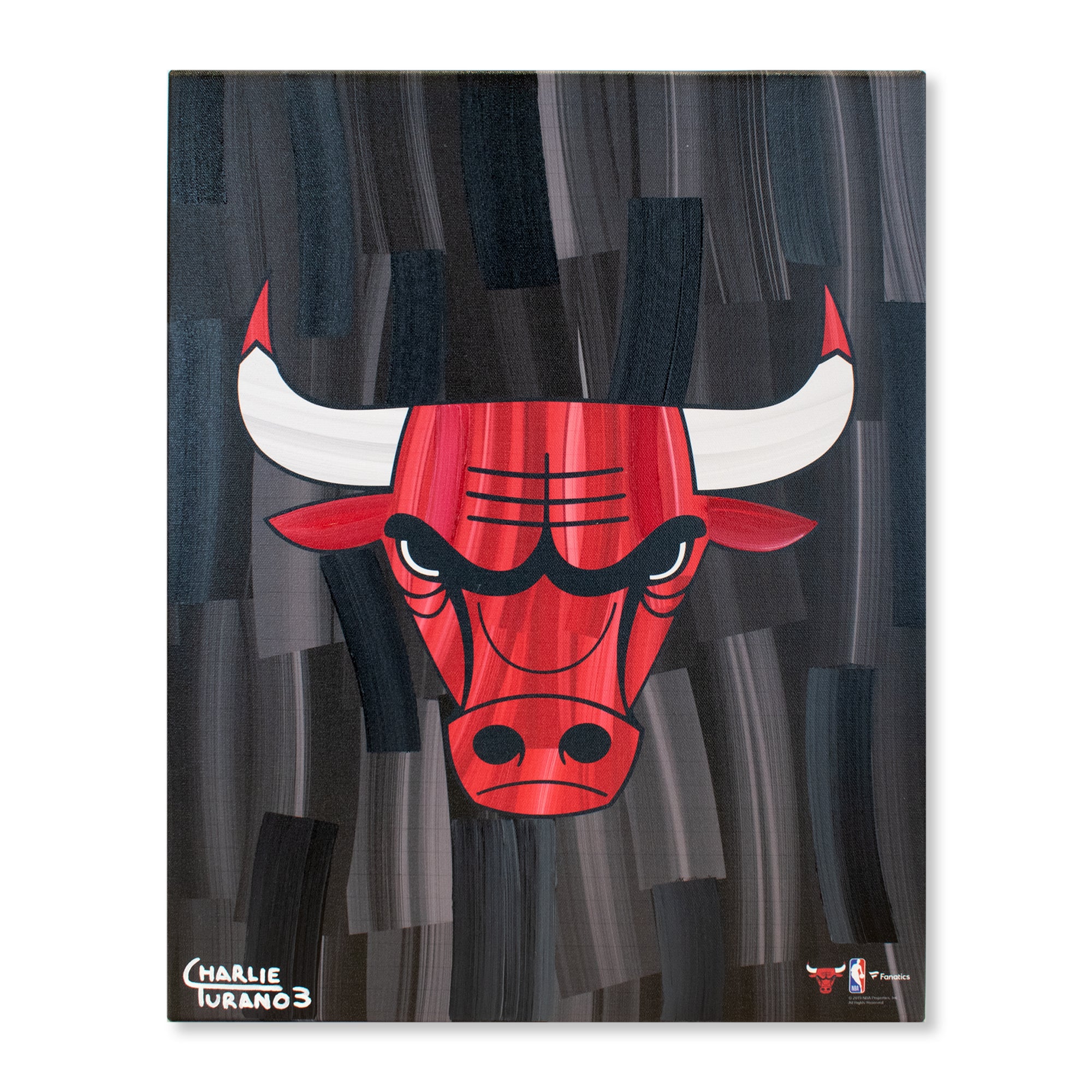 Chicago Bulls Logo Art